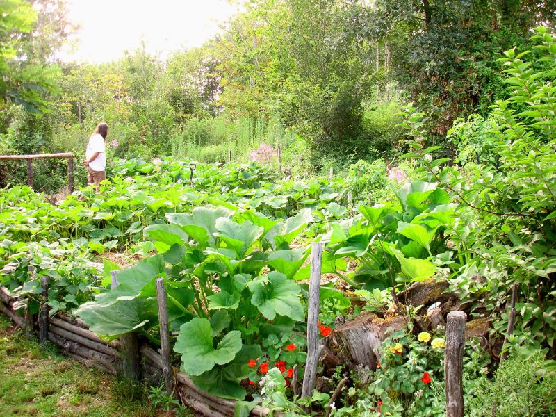 Le jardin potager - Unep, les entreprises du paysage