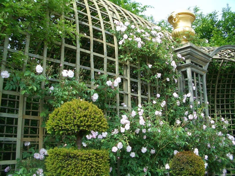 Quels conseils pour bien réaliser son treillage ? | Unep