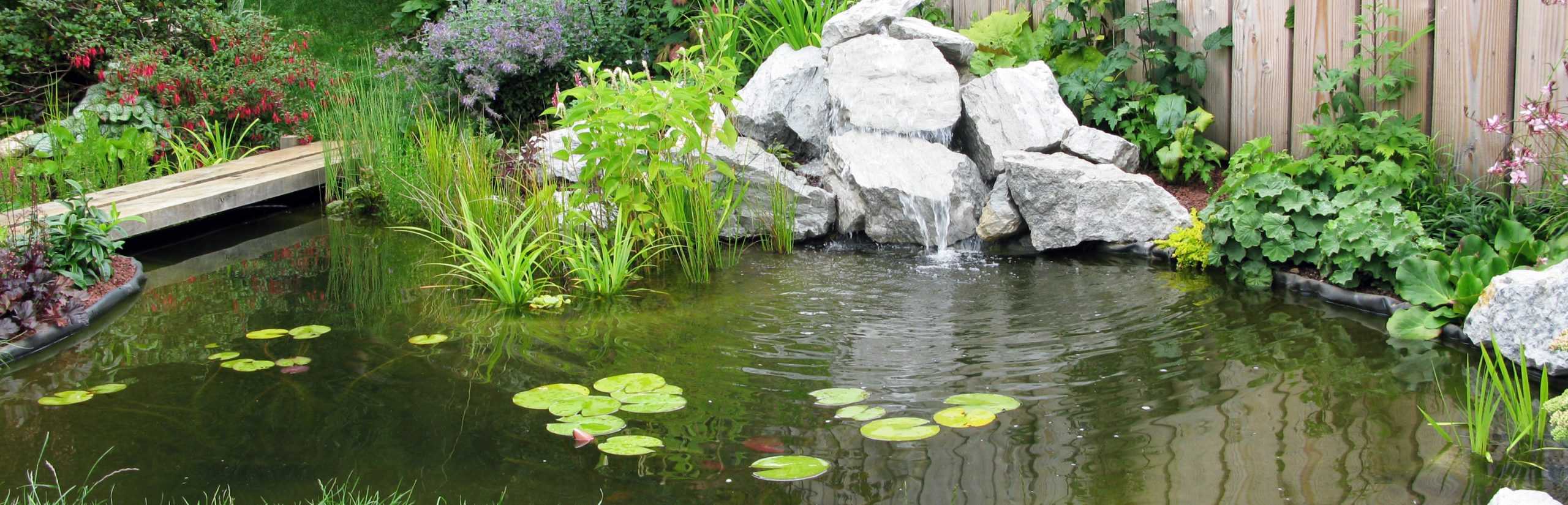 Installer un bassin et des jeux d'eau dans son jardin | Unep