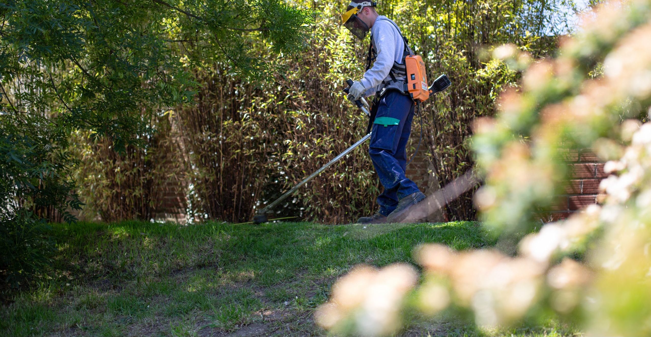 Le débroussaillage | Unep