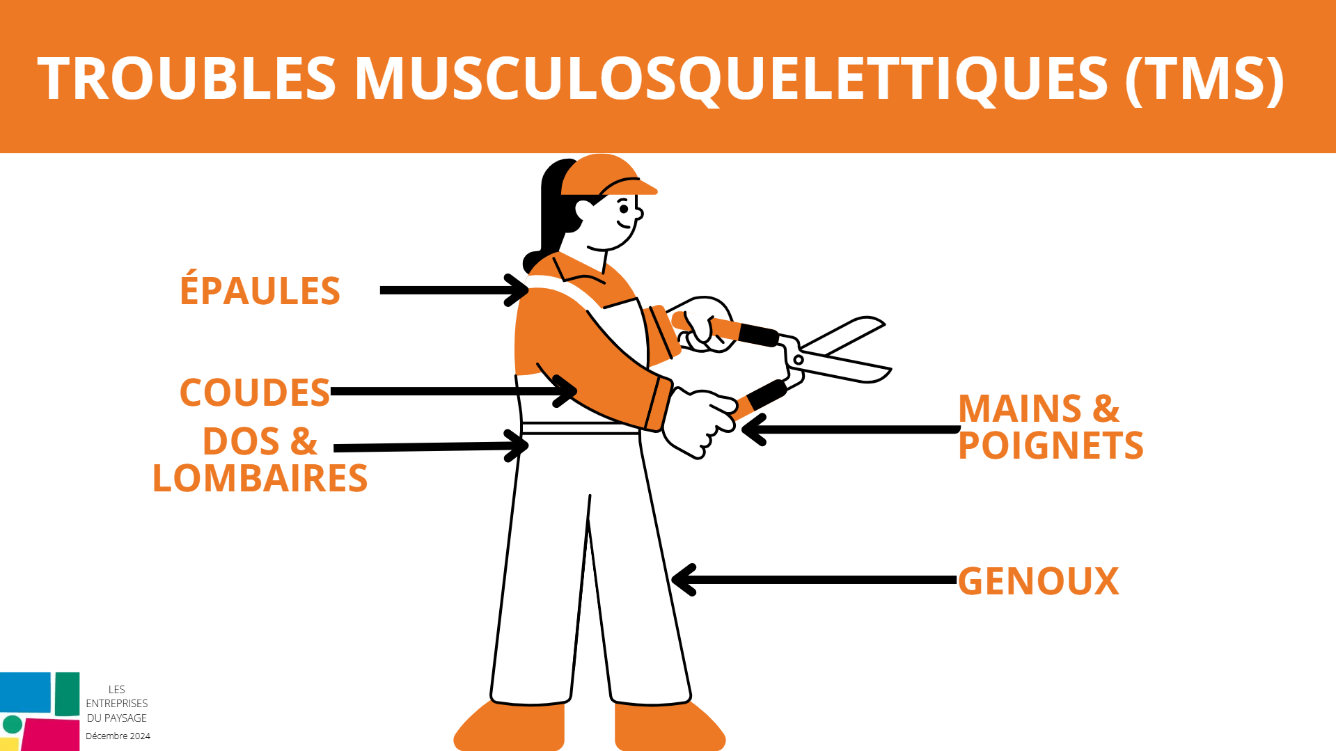 Risques liés aux Troubles Musculo Squelettiques - TMS | Unep